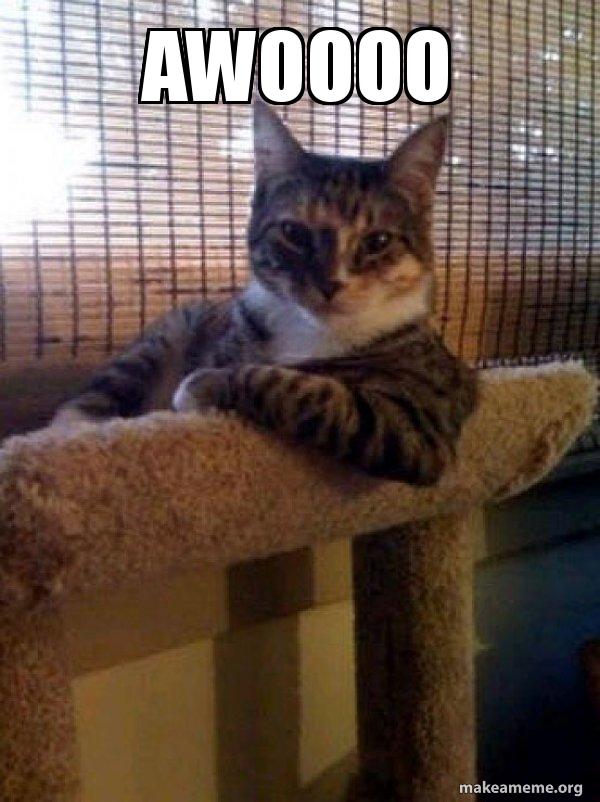 AWoooo - The Most Interesting Cat in the World Meme Generator