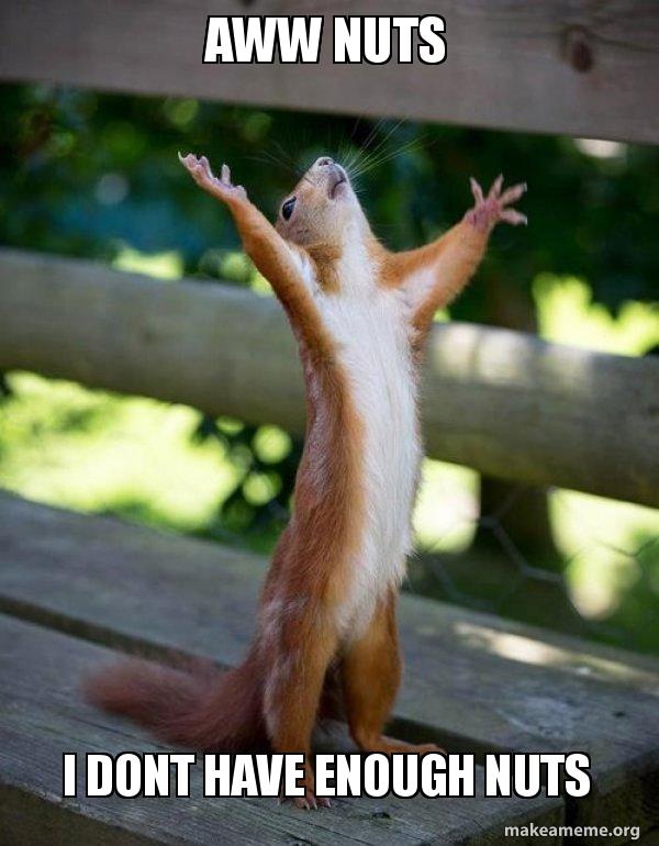 aww nuts i dont have enough nuts - Happy Squirrel Meme Generator