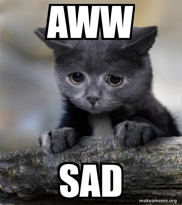 aww sad - Confession Cat Meme Generator
