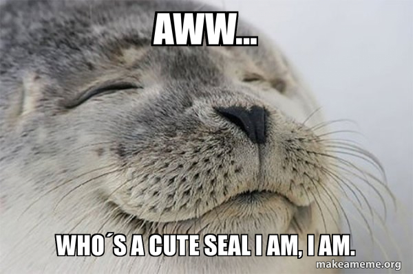 Funny Aww Memes