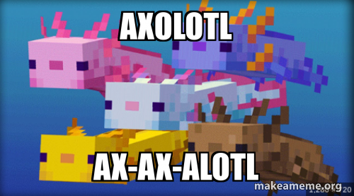 Axolotl ax-ax-alotl Meme Generator