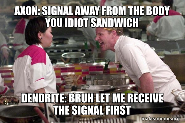 axon: signal away from the body you idiot sandwich dendrite: bruh let ...