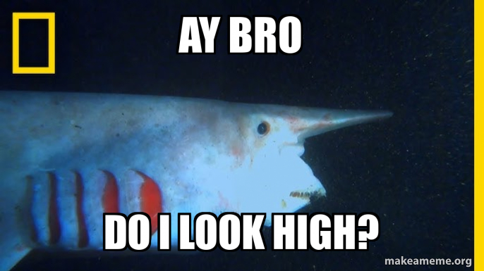 ay bro do i look high? Meme Generator