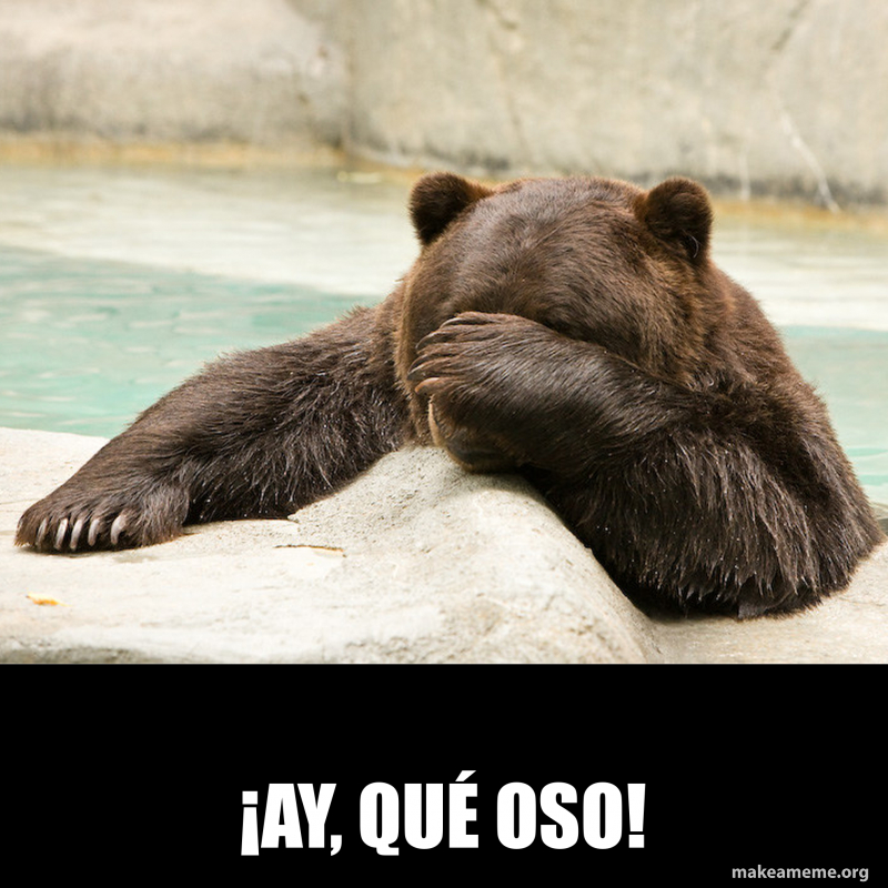 ¡ay, qué oso! Meme Generator