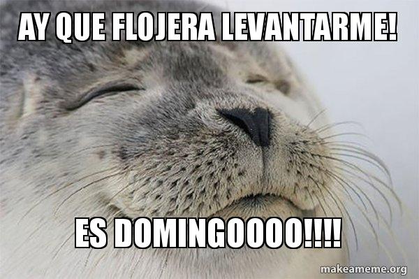 Ay que flojera levantarme! Es Domingoooo!!!! - Satisfied Seal | Make a Meme