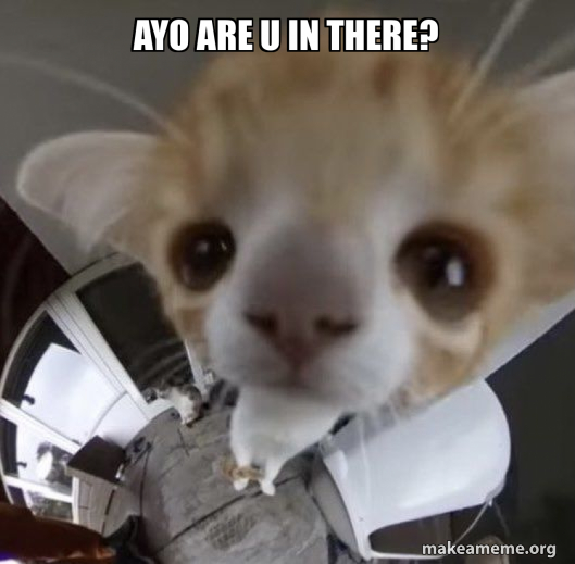 ayo are u in there? Meme Generator