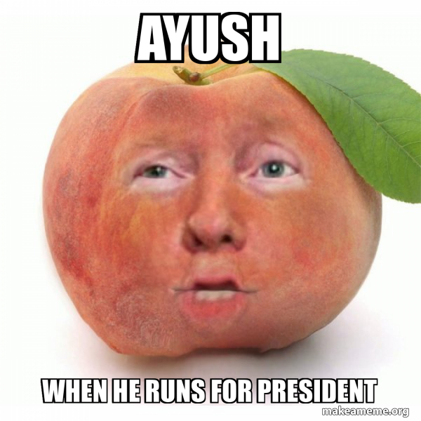 Ayush when he runs for president - Impeached Donald Trump Meme Generator