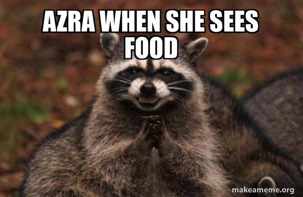 azra when she sees food - Evil Plotting Raccoon Meme Generator