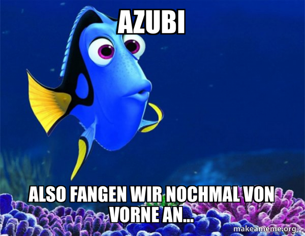 Azubi Also fangen wir nochmal von vorne an... - Dory from Nemo (5 ...