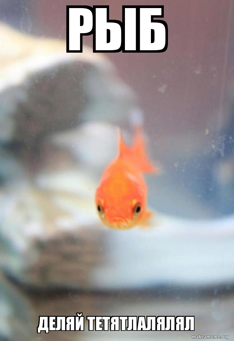 рыб деляй тетятлалялял - Grumpy Fish Meme Generator