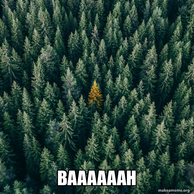 baaaaaah Meme Generator