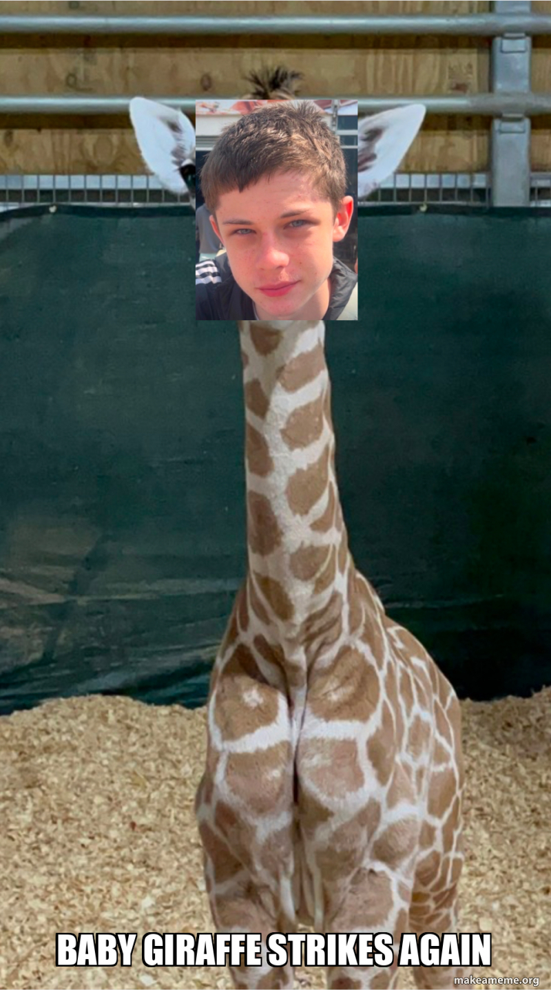 BABY GIRAFFE STRIKES AGAIN Meme Generator