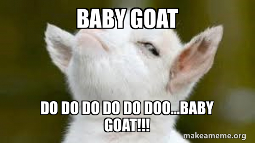 Baby Goat Do do do do do doo...Baby Goat!!! Meme Generator