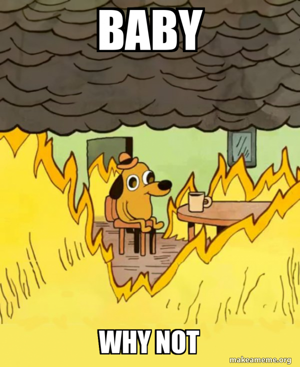 baby why not - This Is Fine Meme Generator