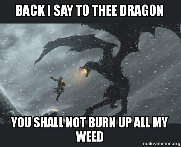 Back I say to thee dragon you shall not burn up all my weed - Skyrim ...