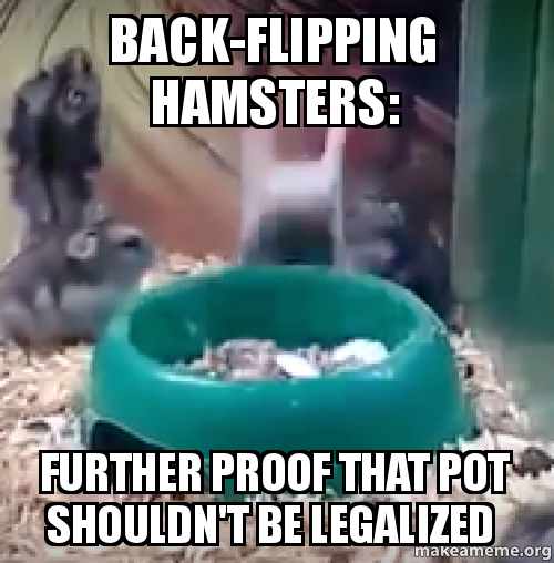 Back-flipping hamsters: Further proof that pot shouldn't be legalized ...