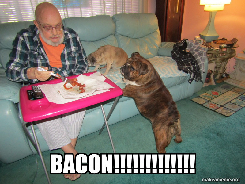 bacon!!!!!!!!!!!!! Meme Generator