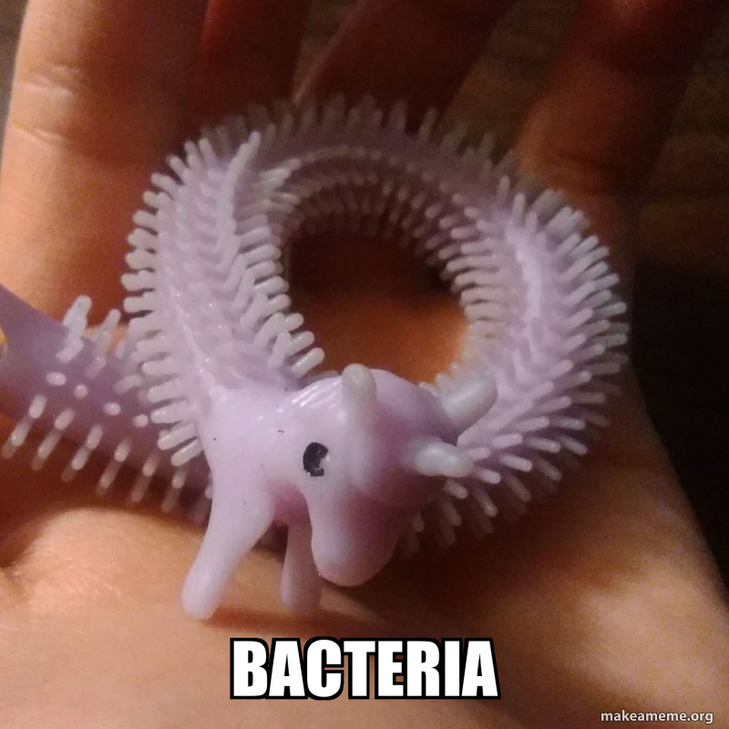 bacteria Meme Generator