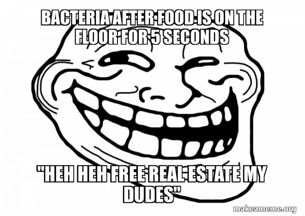 Bacteria after food is on the floor for 5 seconds "Heh heh free real ...