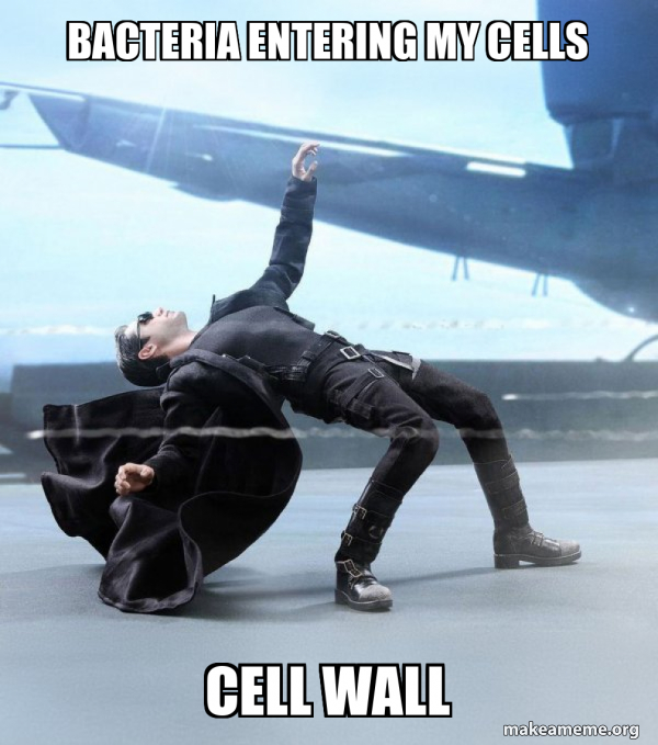 Bacteria entering my cells cell wall - Matrix Dodge Bullet Meme Generator
