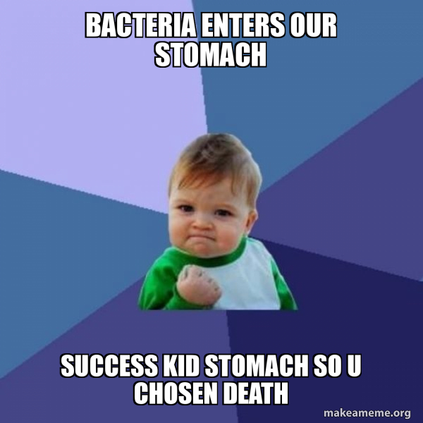 bacteria enters our stomach success kid stomach so u chosen death ...