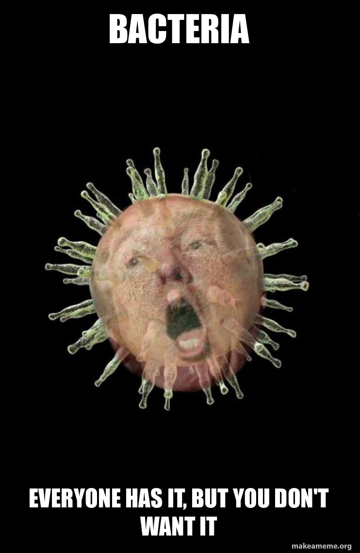 bacteria everyone has it, but you don't want it - Trumpvirus ...