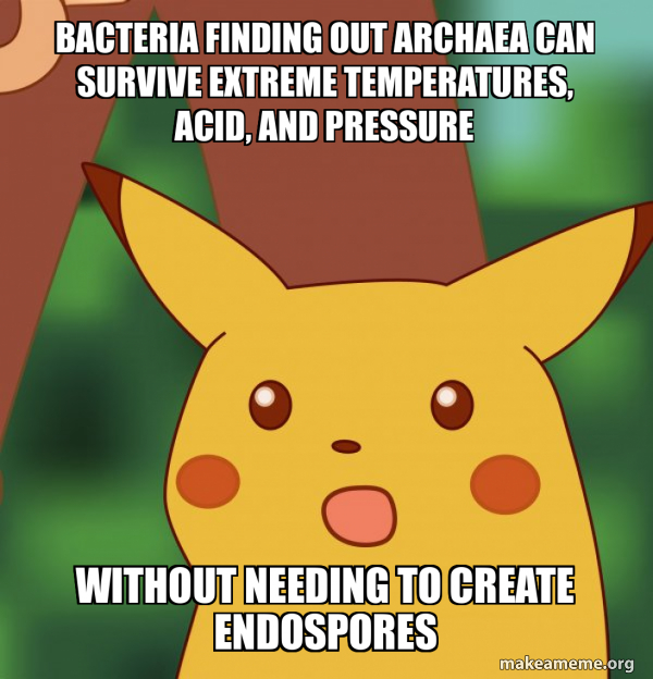 bacteria finding out archaea can survive extreme temperatures, acid ...