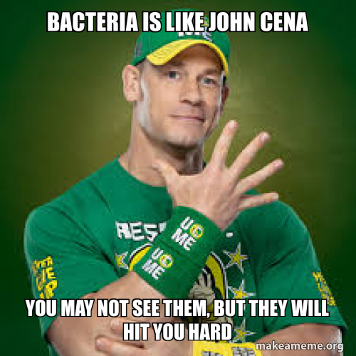 Bacteria is like john cena you may not see them, but they will hit you ...