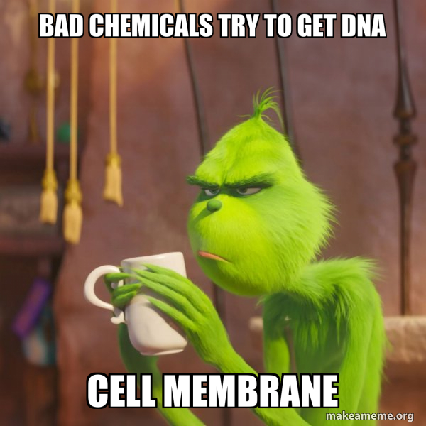 Bad chemicals try to get DNA Cell Membrane - Grinch Meme Generator