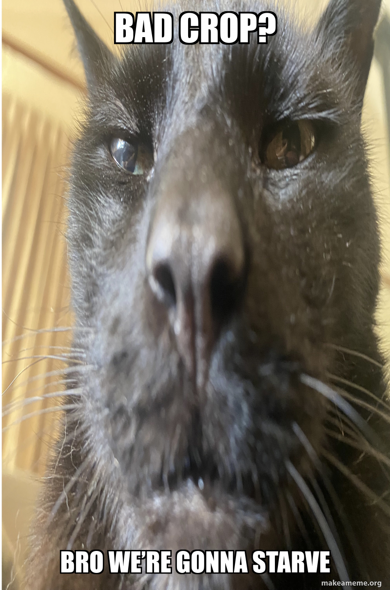 BAD CROP? BRO WE’RE GONNA STARVE Meme Generator