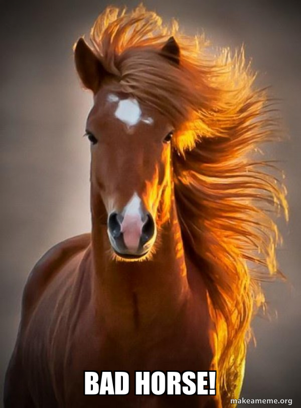 BAD HORSE! - Ridiculously photogenic horse Meme Generator