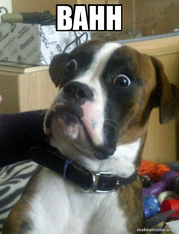 Bahh - Skeptical Dog Meme Generator