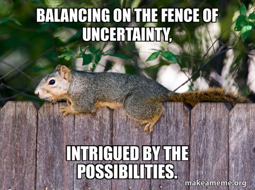 Balancing on the fence of uncertainty, INTRIGUED BY THE POSSIBILITIES ...