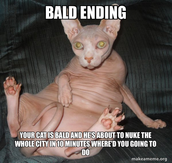 Bald ending Your cat is bald and he's about to nuke the whole city in ...