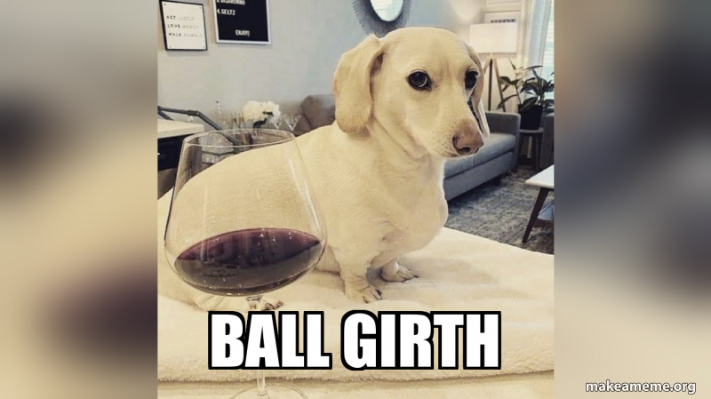 ball girth Meme Generator