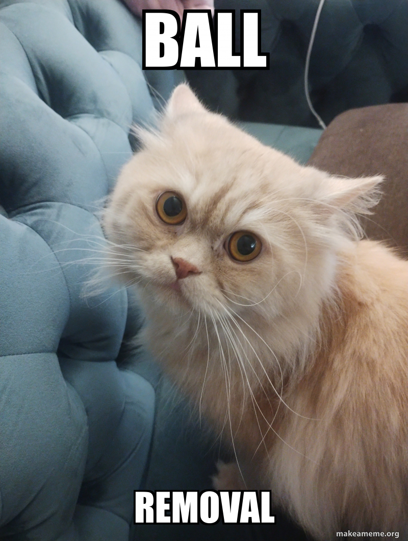 Ball Removal Meme Generator