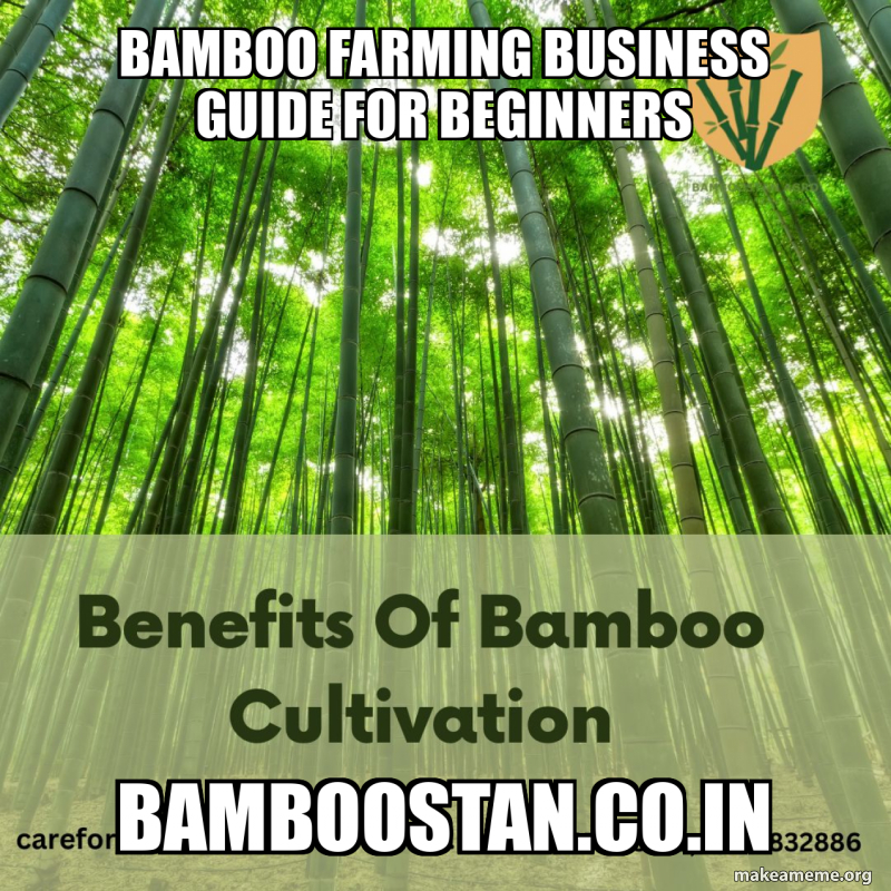 Bamboo Farming Business Guide For Beginners bamboostan.co.in Meme Generator