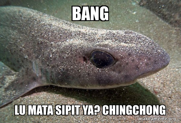 Bang Lu mata sipit ya? ChingChong - Dirty Joke Dogfish Meme Generator