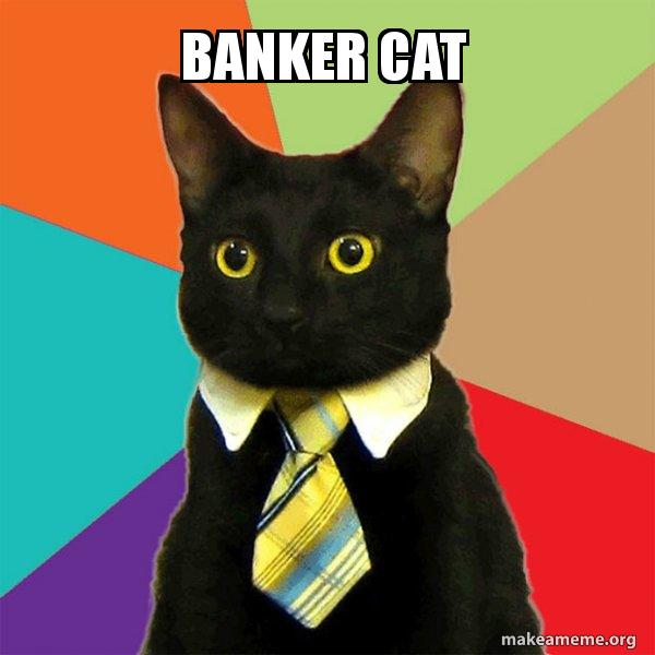 Banker Cat Memes Cat Meets 'Cat' Toy Bank Love Meow