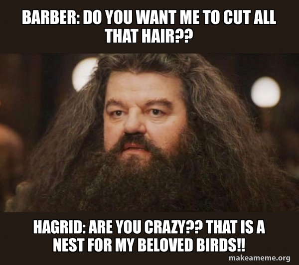 BARBER: DO YOU WANT ME TO CUT ALL THAT HAIR?? HAGRID: ARE YOU CRAZY ...