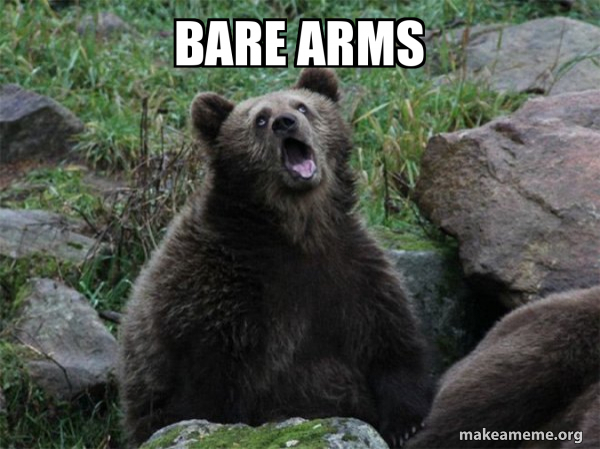 BARE ARMS - Sarcastic Bear Meme Generator