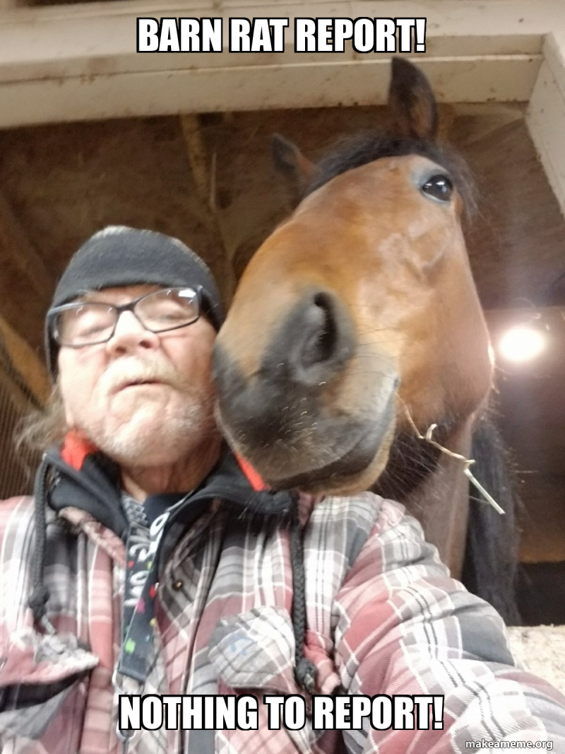 BARN RAT REPORT! nothing to report! Meme Generator