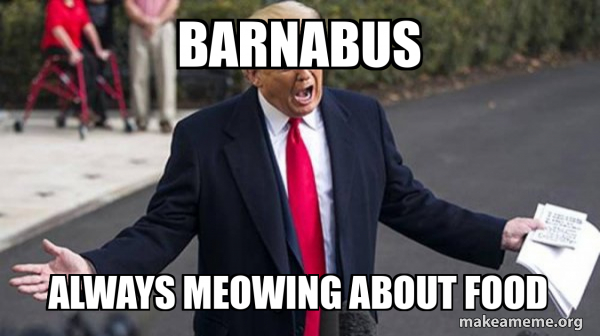 Barnabus Always meowing about food - Trump - Impeachment Quid Pro Quo ...