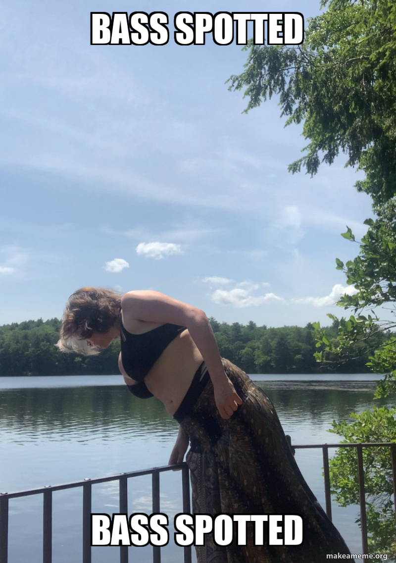 bass spotted bass spotted Meme Generator