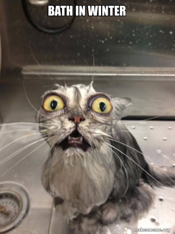 Bath in winter - Cat bath Meme Generator