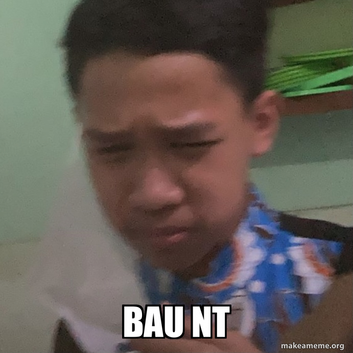 bau nt Meme Generator