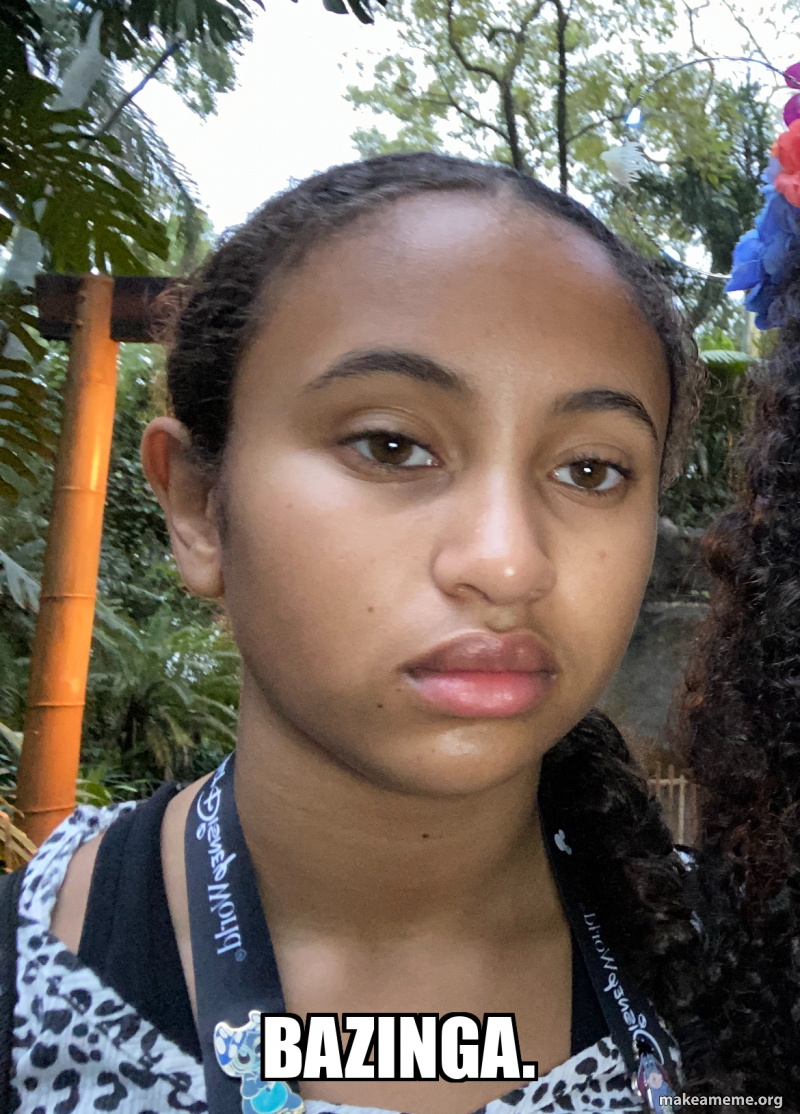 bazinga. Meme Generator