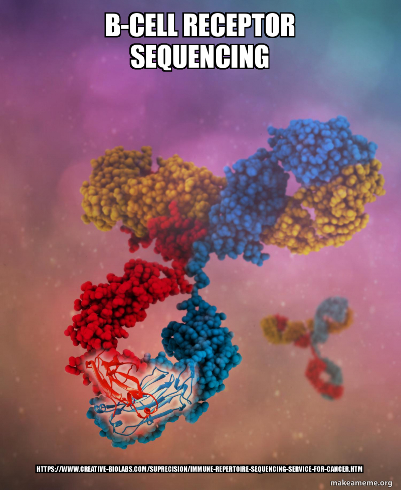 B-cell receptor sequencing https://www.creative-biolabs.com/suprecision ...