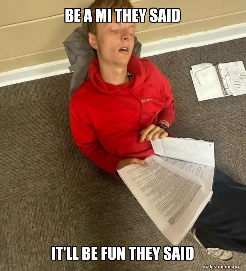 BE a mi they said It’ll be fun they saId Meme Generator