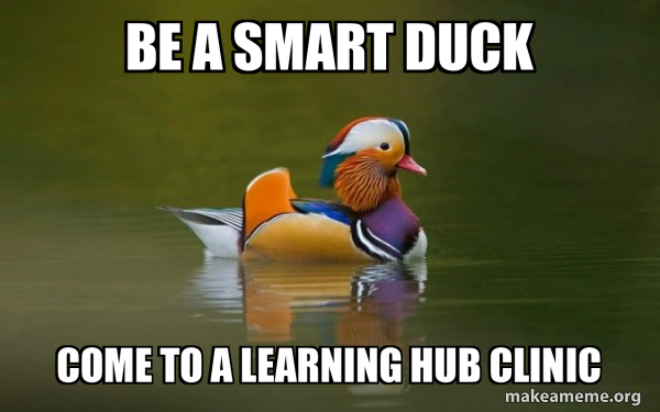 Be a smart duck come to a Learning Hub clinic - Fashionable Advice ...